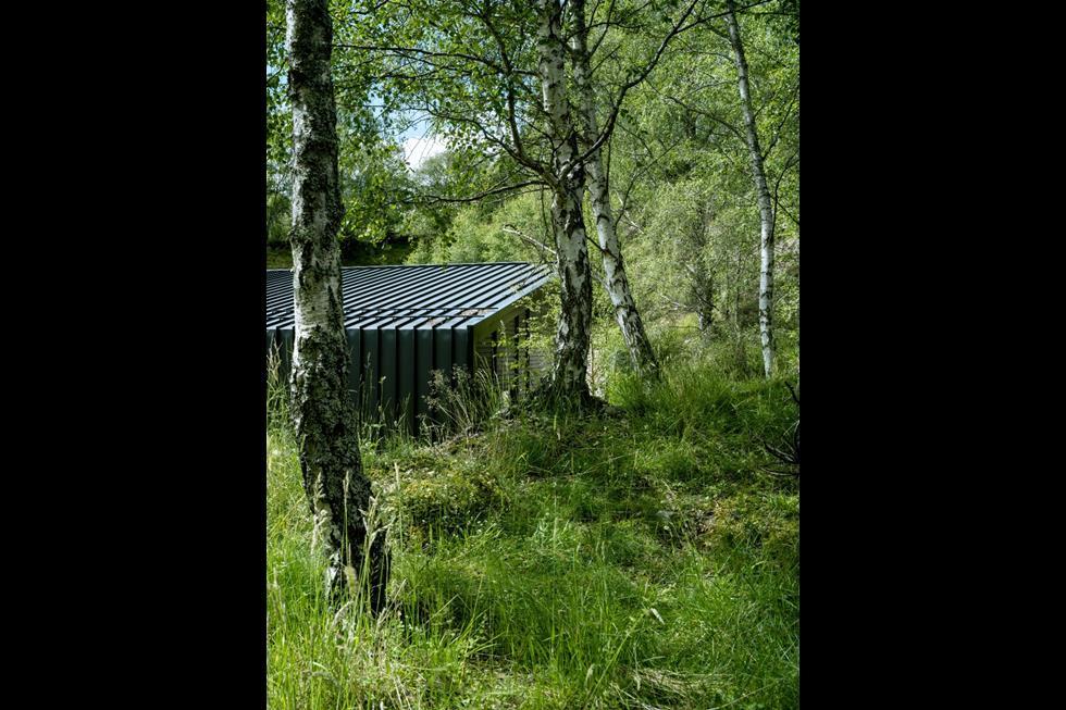 Moxon’s Quarry Studios is named Scotland’s building of the year | News ...